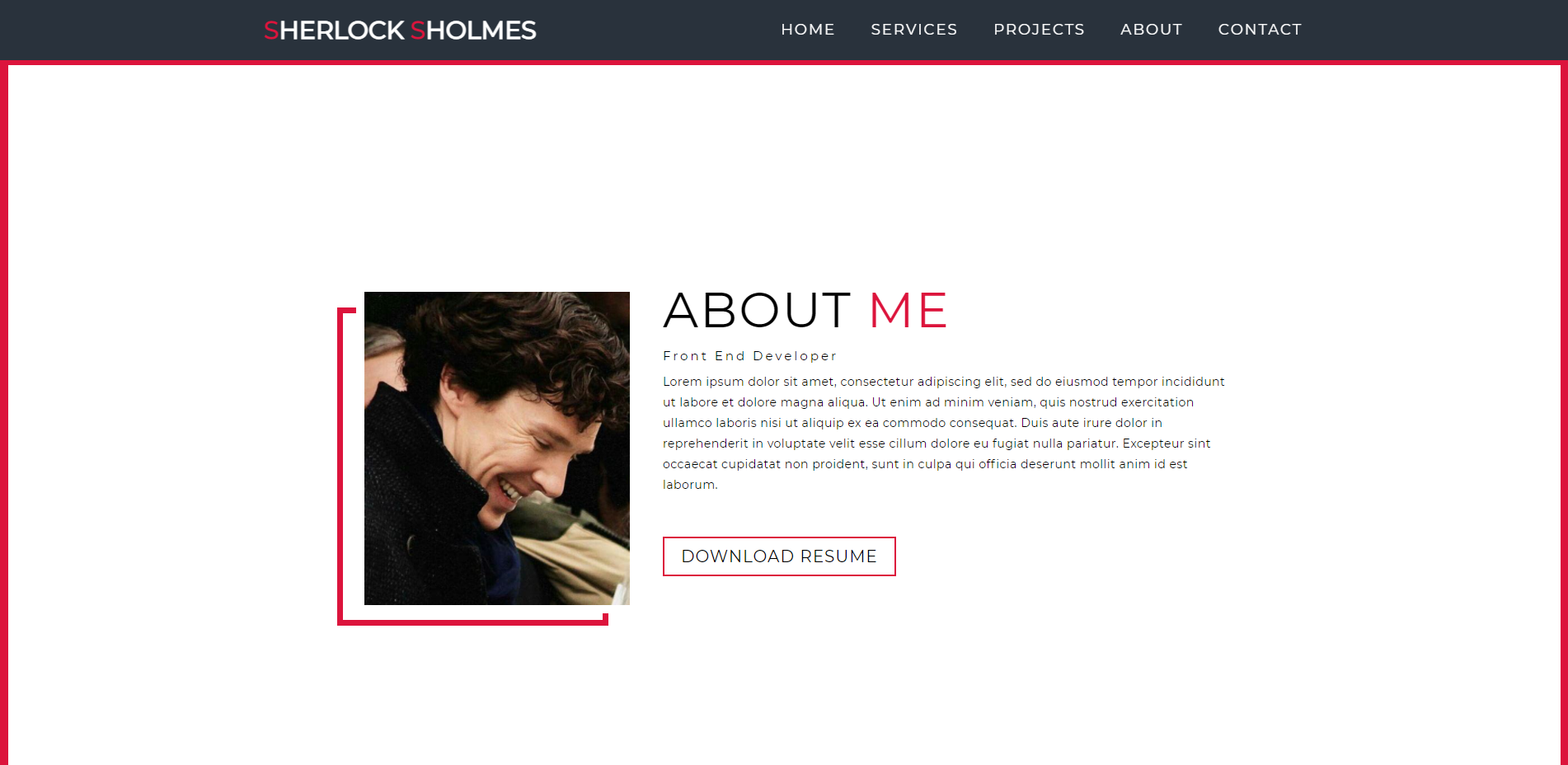 GitHub - thevueeguy/myFirstWebsite: This project was made to hone the basics of HTML, CSS and ...