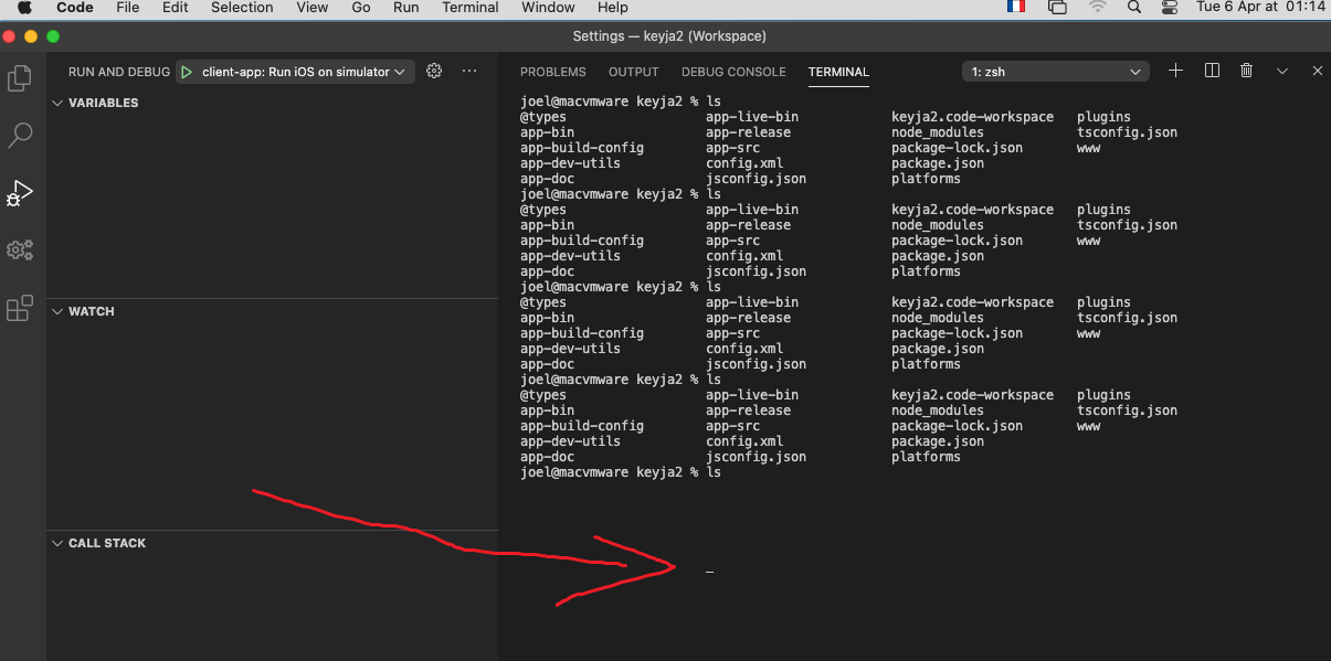 mac os: terminal invisible text · Issue #120594 · microsoft/vscode · GitHub