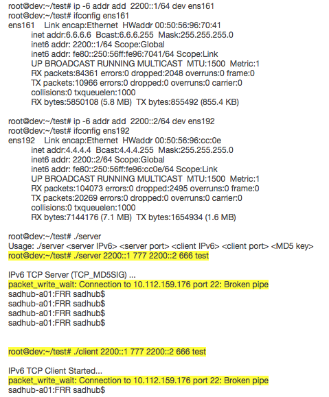 BGP authentication config leads to unreachability of virtual FRR-router. · Issue #3185 ...