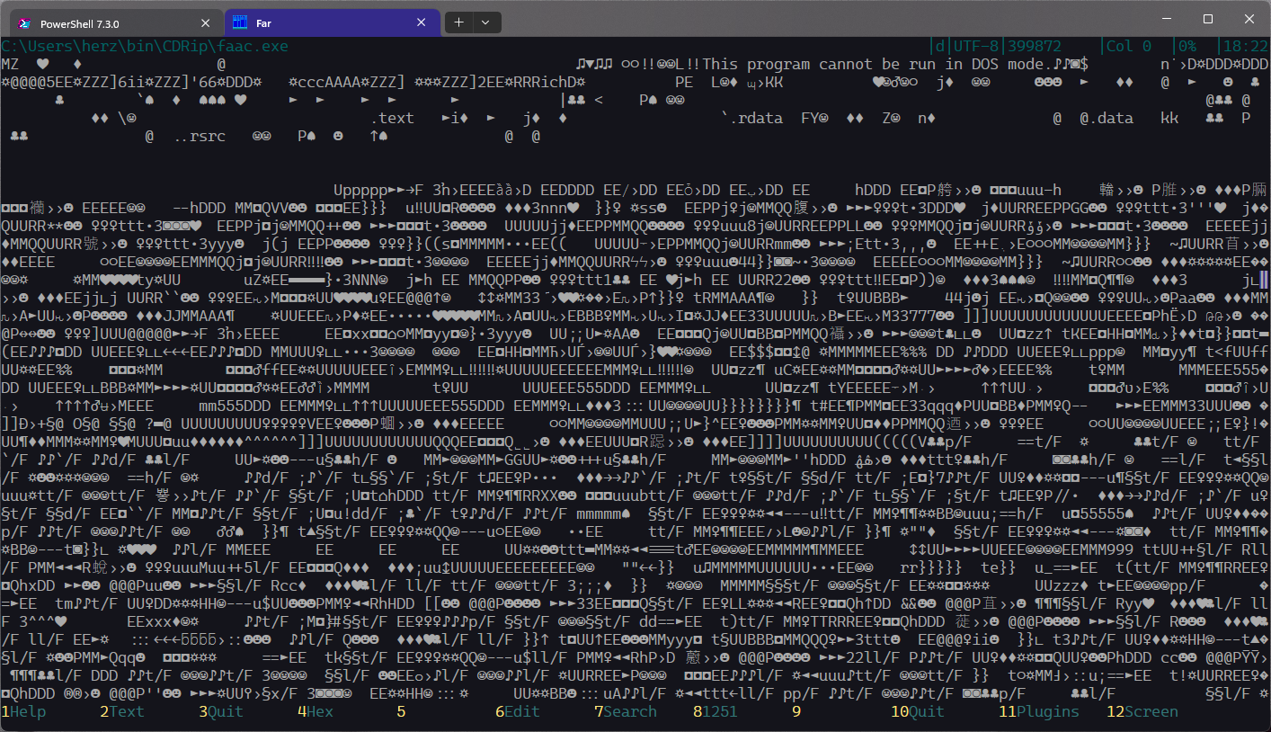 Problems with displaying console-graphical apps that print certain ...