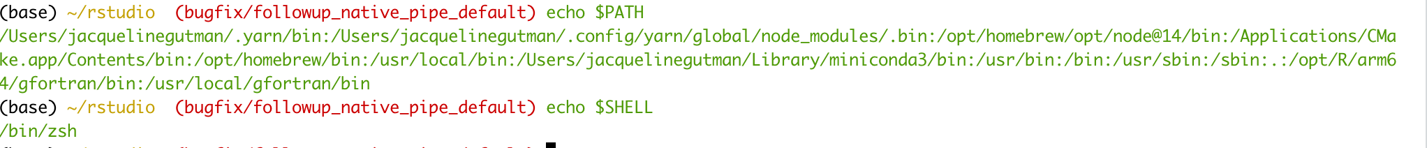 terminal path ordering not consistent on mac · Issue #10997 · rstudio/rstudio · GitHub
