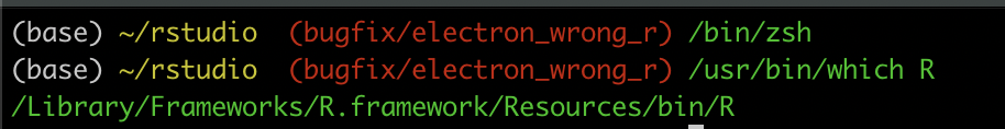 Electron loads wrong/unexpected version of R with Brew · Issue #11567 ...