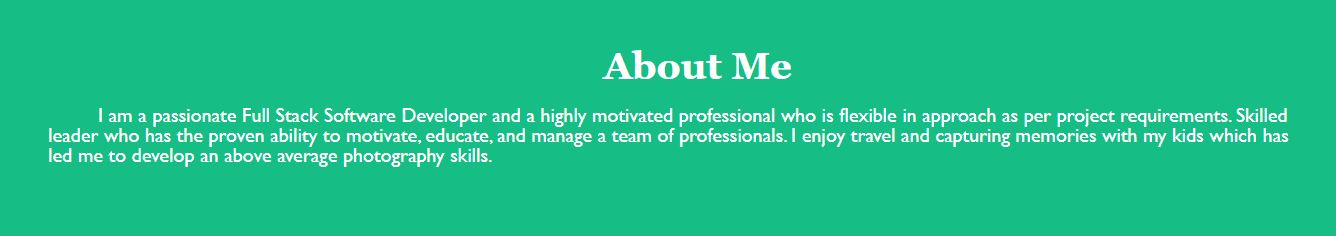 GitHub - Faizila/professional-portfolio: Collection of my work to showcase my experience ...