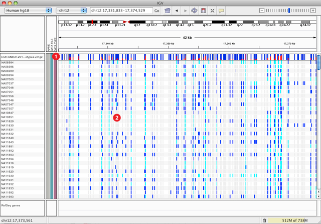 Separate variants by sample id? · Issue #796 · igvteam/igv.js · GitHub