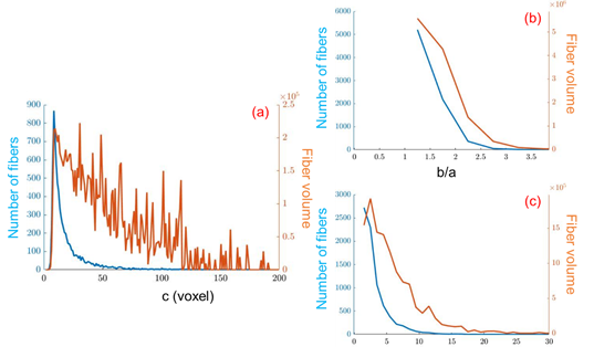 GitHub - Xiu-Anne/Microstructure_Characterization: Fiber distribution ...