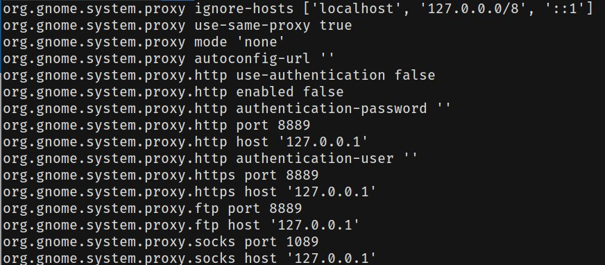 Bug Report: Snapcraft GNOME System Proxy doesn't take effect · Issue #1467 · Qv2ray/Qv2ray · GitHub