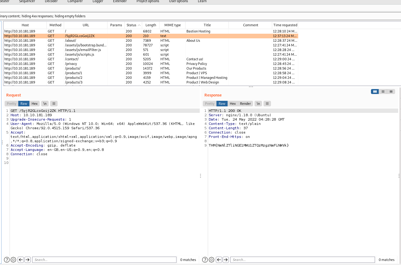 TryHackMe/Burp Suite: The Basics.md at main · leechenwei/TryHackMe · GitHub