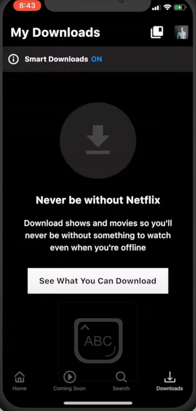 GitHub - Usman-rauf/Netflix_clone_flutter