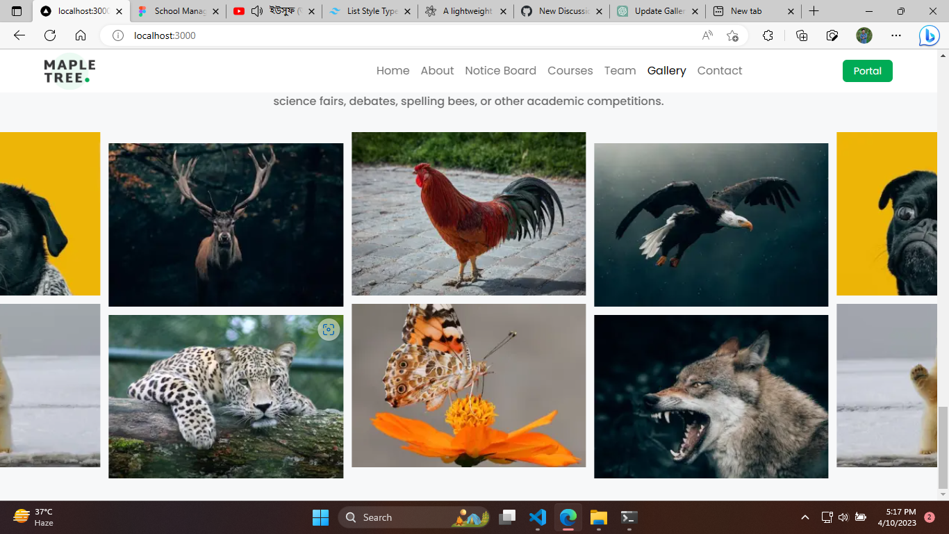 How to center slides using embla carousel? · davidjerleke embla-carousel · Discussion #452 · GitHub