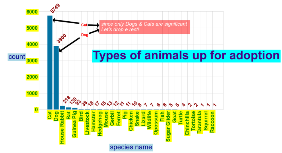 GitHub - Kayden-lolasery/Animal-adoption-EDA-ML---Capstone-project: to ...