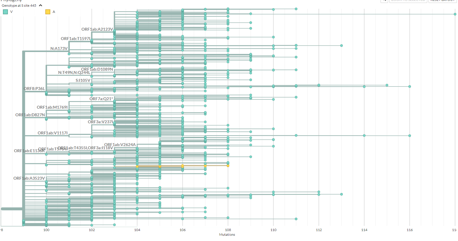 XBC.1.6 with S:V445A 12 seq. · Issue #309 · sars-cov-2-variants/lineage-proposals · GitHub