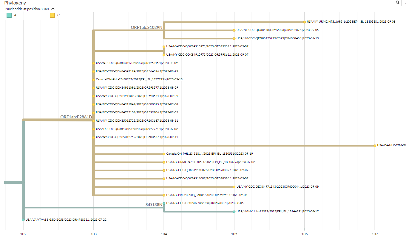 FL.1.5.1 + ORF9b:S50L, ORF1a:E2861D (52) · Issue #895 · sars-cov-2 ...