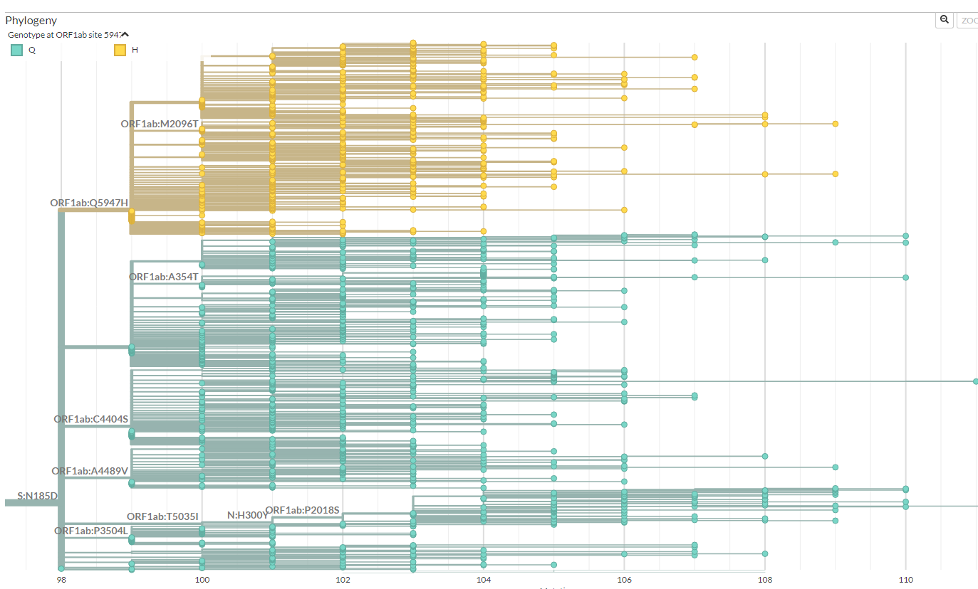 GS.4.1 + ORF1b:Q1546H (898) 5% of cases in France · Issue #2336 · cov-lineages/pango-designation ...
