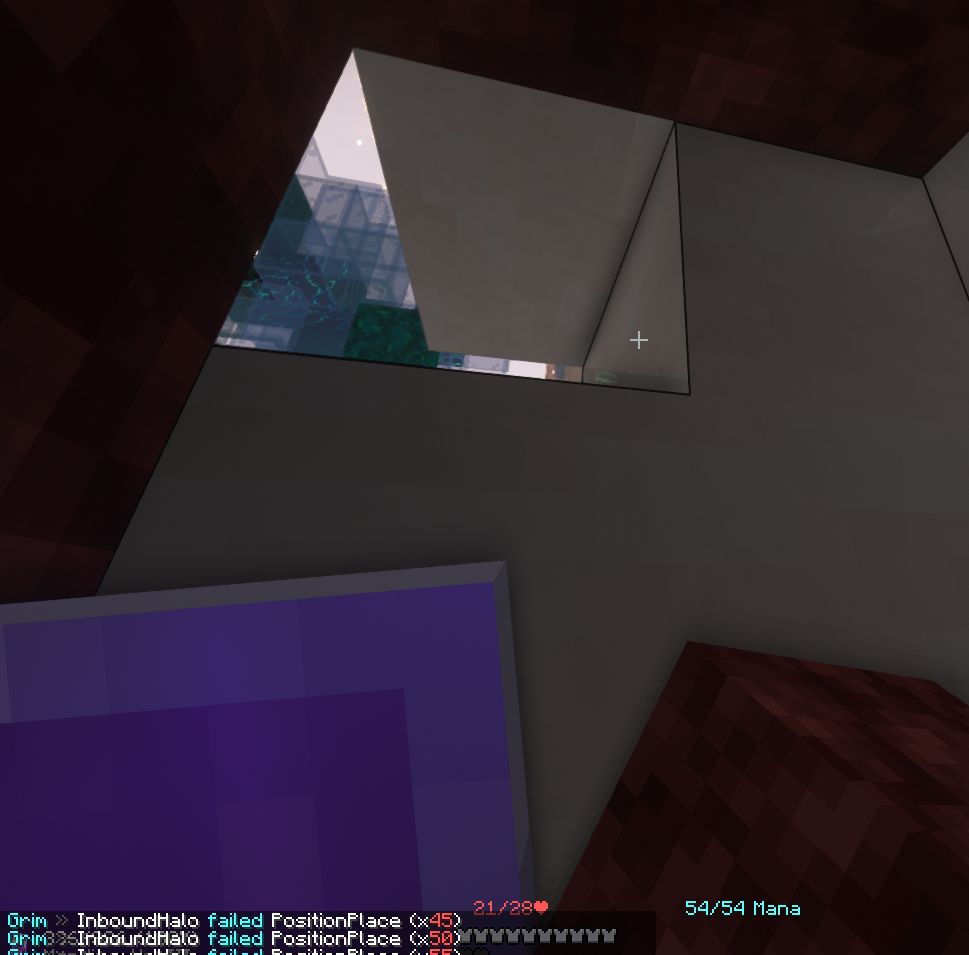 False PositionPlace · Issue #426 · GrimAnticheat/Grim · GitHub