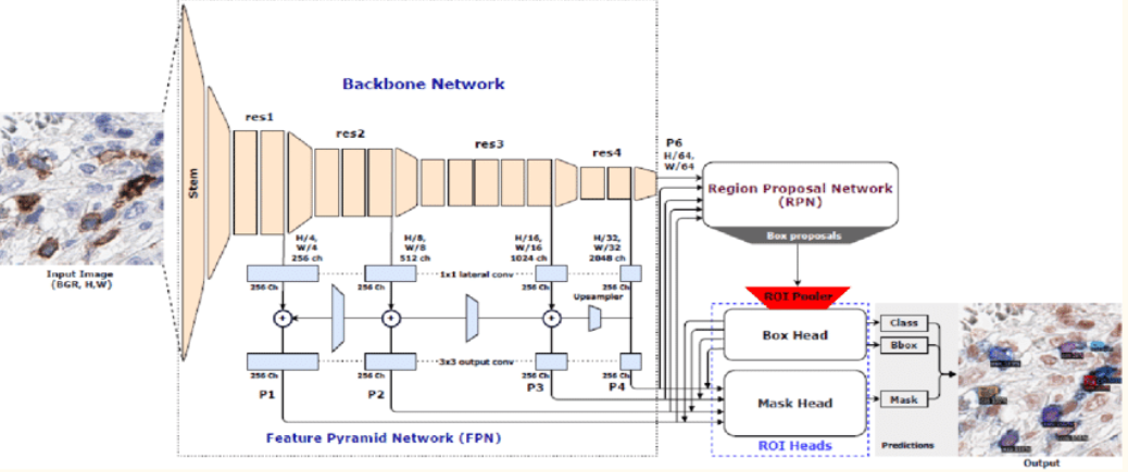 GitHub - sarthakkhanna05/Deep-Learning-Abnomal-Neural-Cell-detection ...