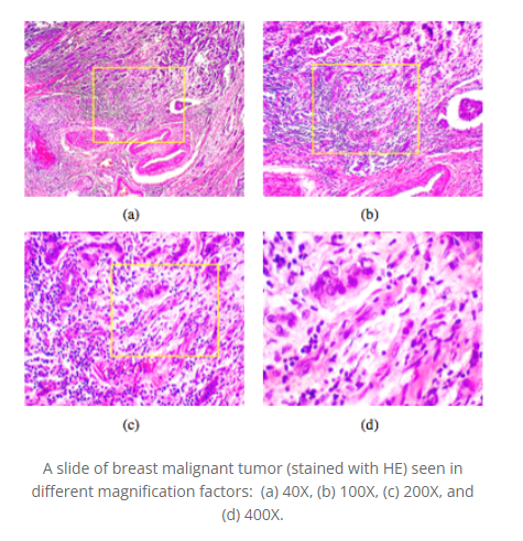 Github Monamayouf Incremental Learning