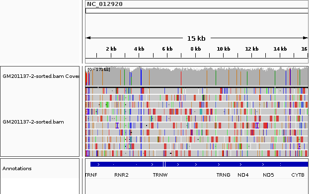 Snapshot image width issue · Issue #980 · igvteam/igv · GitHub