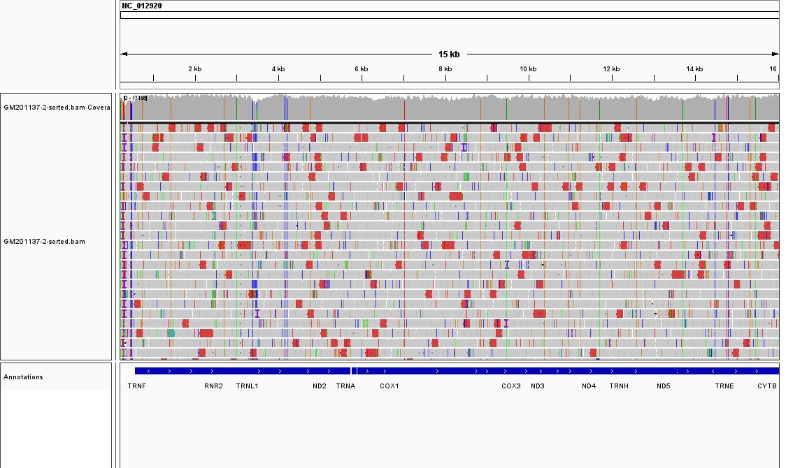 Snapshot image width issue · Issue #980 · igvteam/igv · GitHub