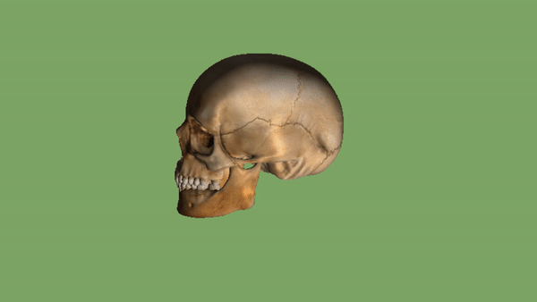 GitHub - matasx8/VulkanRenderer: My 3D renderer implemented with Vulkan ...