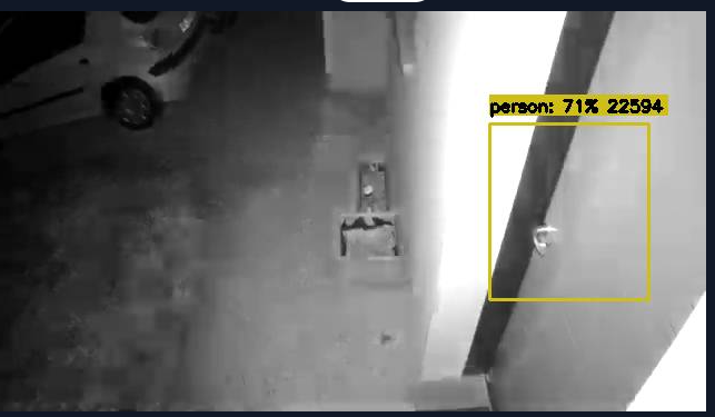 [Detector Support]: Since update to version 0.13 Beta 1 seeing person ...