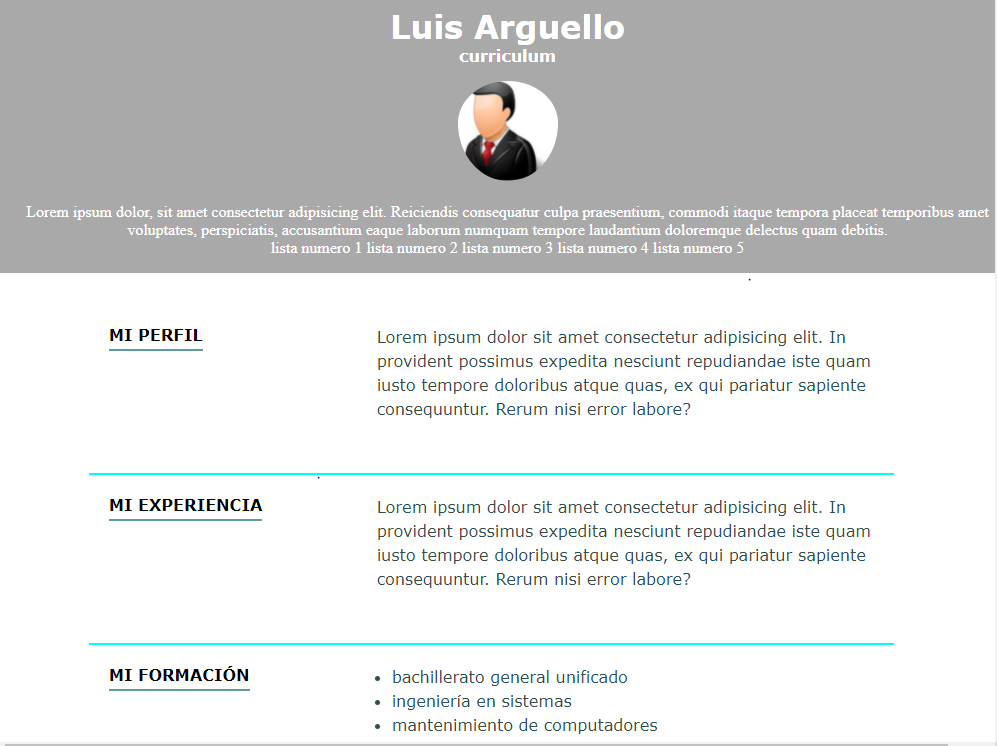 GitHub - Fernando-Arg/template_cv