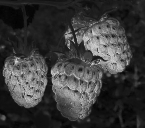 GitHub - LuizFillipe1/Processamento-Digital-de-Imagens