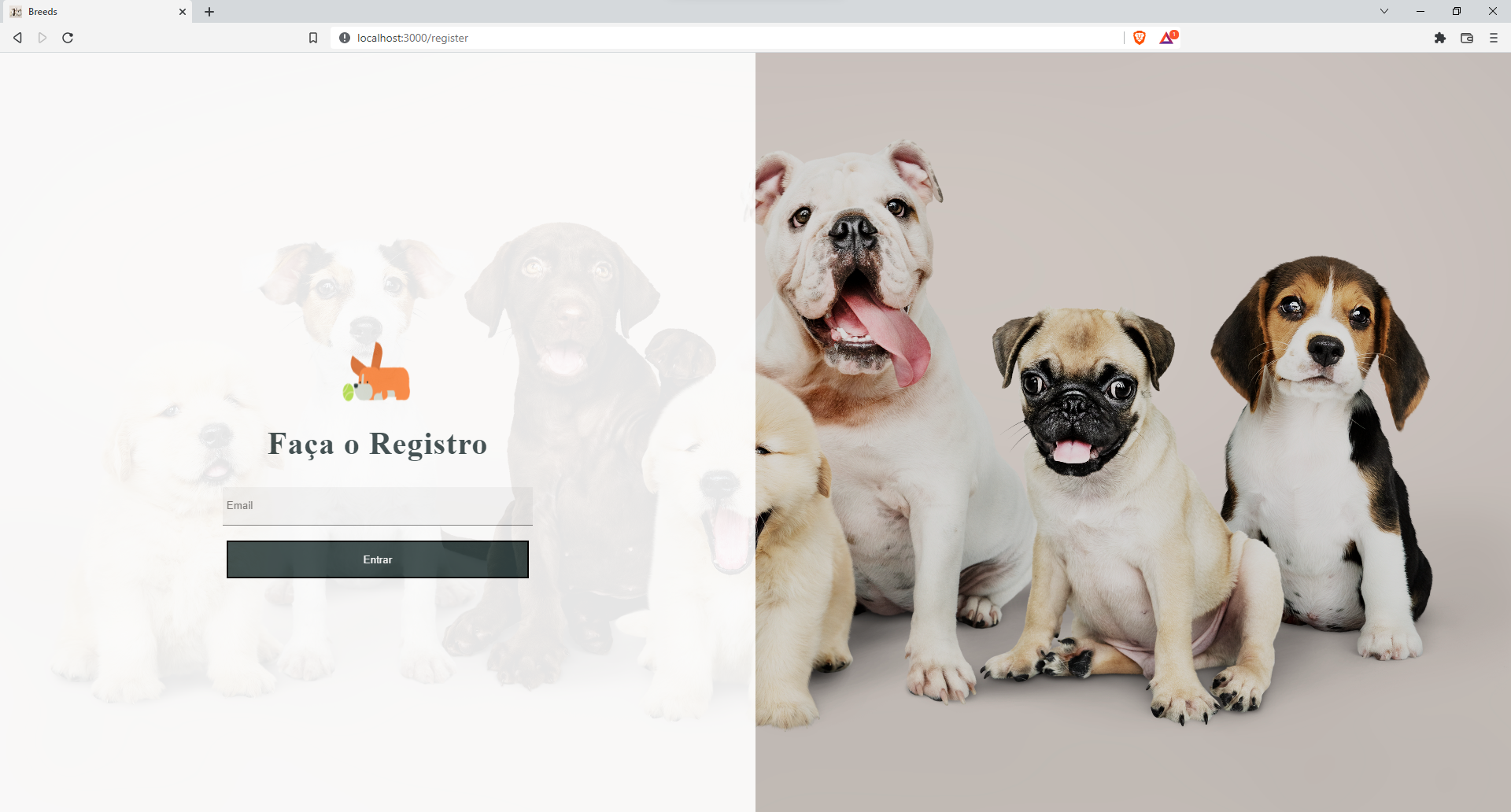GitHub - LFSOFTWARE/react-consumo-api-dogs