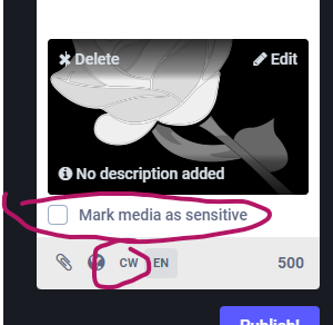 Feature Request - Mastodon Content warning and image censoring · Issue #41 · inovector/mixpost ...