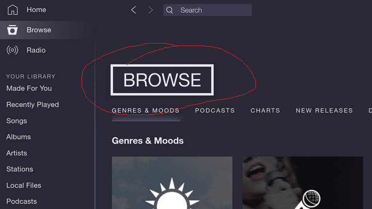 How cna i take this and add it to another theme · Issue #399 · spicetify/cli · GitHub