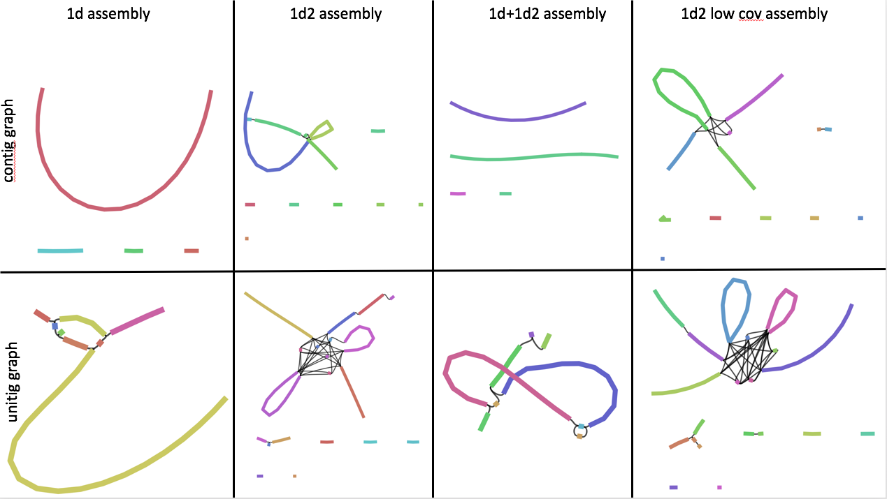 Thoughts on combining 1d and 1d2 nanopore reads? · Issue #659 · marbl ...