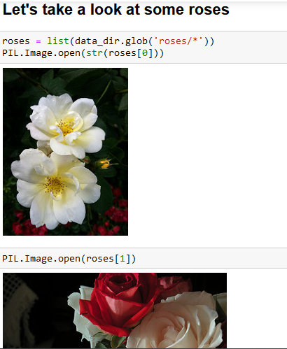 GitHub - AiJared/DeepImageClassification: A deep learning project for image classification ...