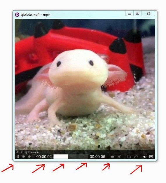 Change colors of mpv · Issue #8789 · mpv-player/mpv · GitHub