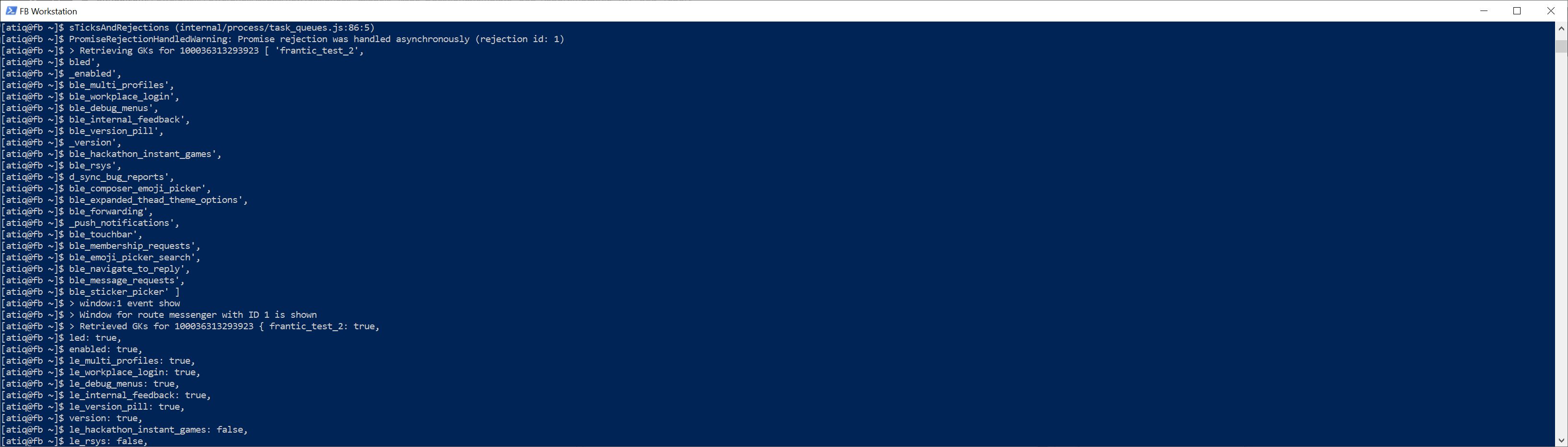 The Prompt Should Be Put After The End Of The Messages Of Stdout Or Stderr That An Application