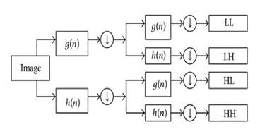 GitHub - AsherTeo/FYP-Wavelet-CycleGAN