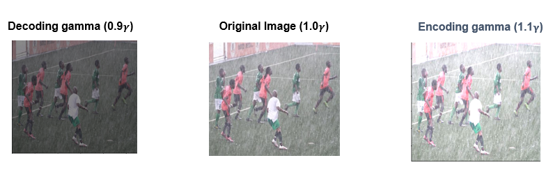 GitHub - AsherTeo/FYP-Wavelet-CycleGAN