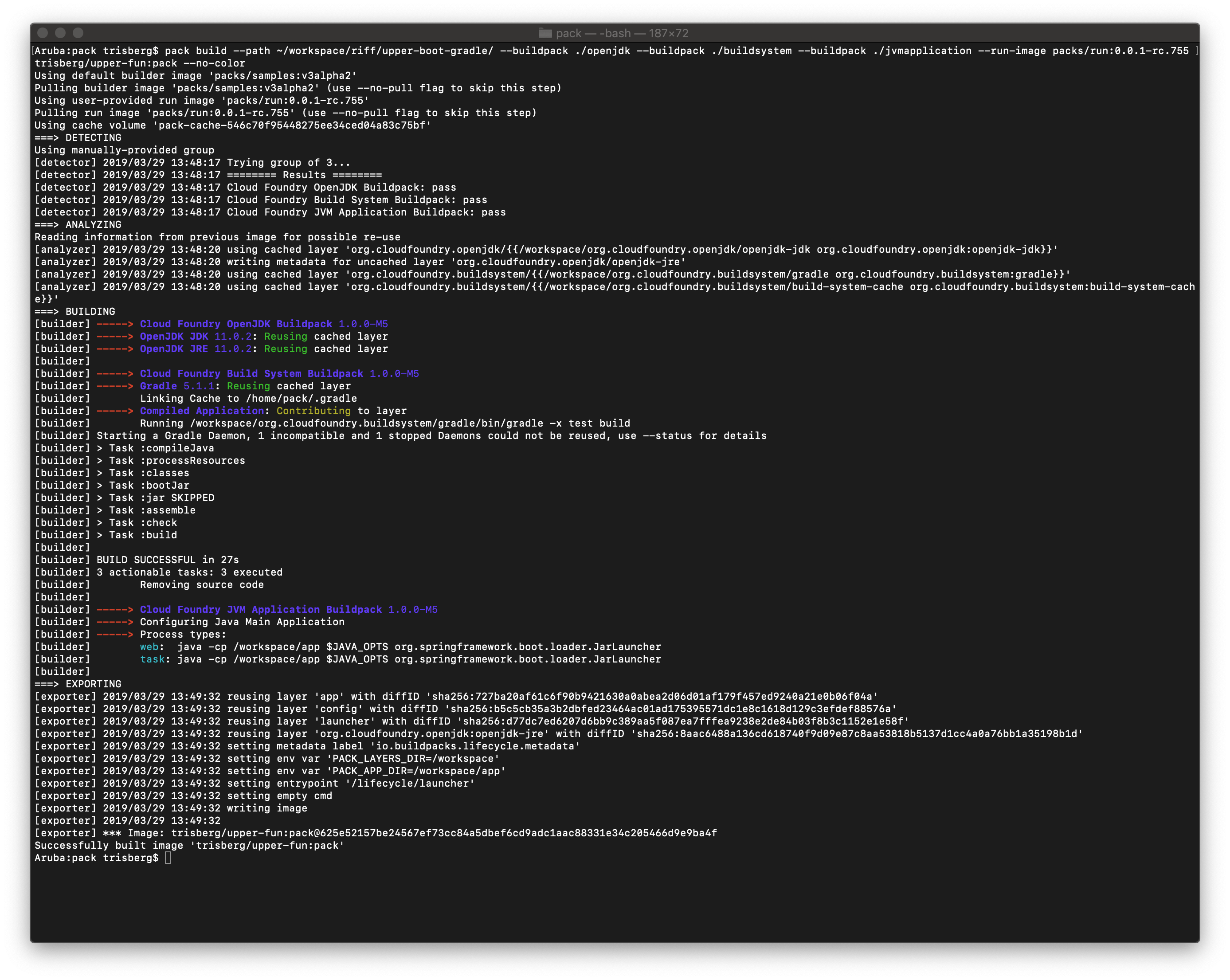 The No Color Flag Doesnt Apply To The Buildpack Log Output In