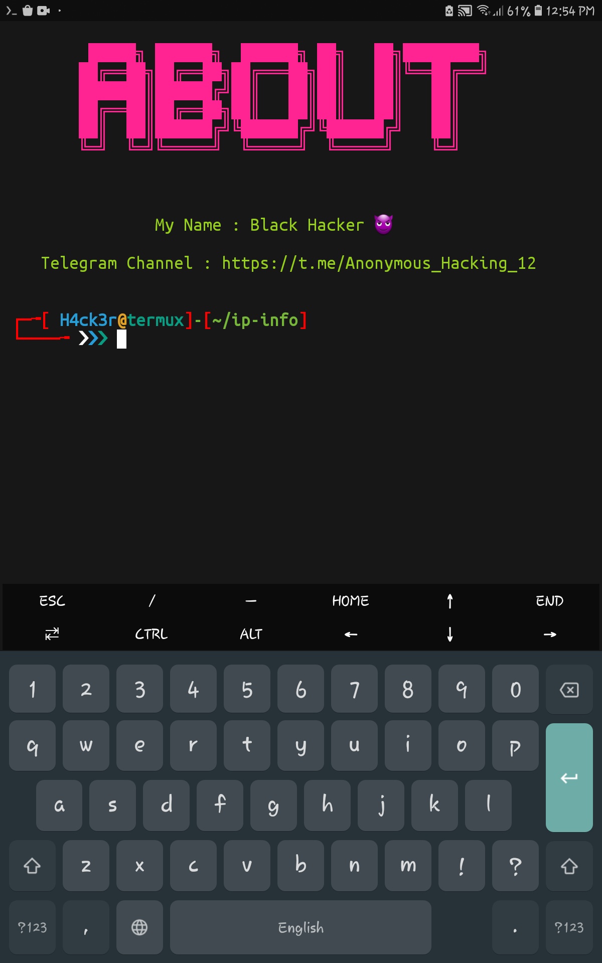 GitHub - hack3r0/ip-info