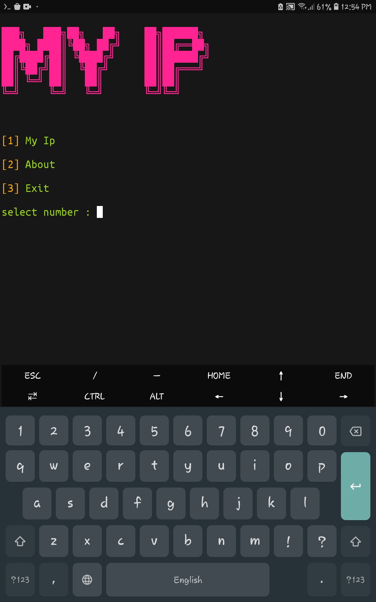 GitHub - hack3r0/ip-info