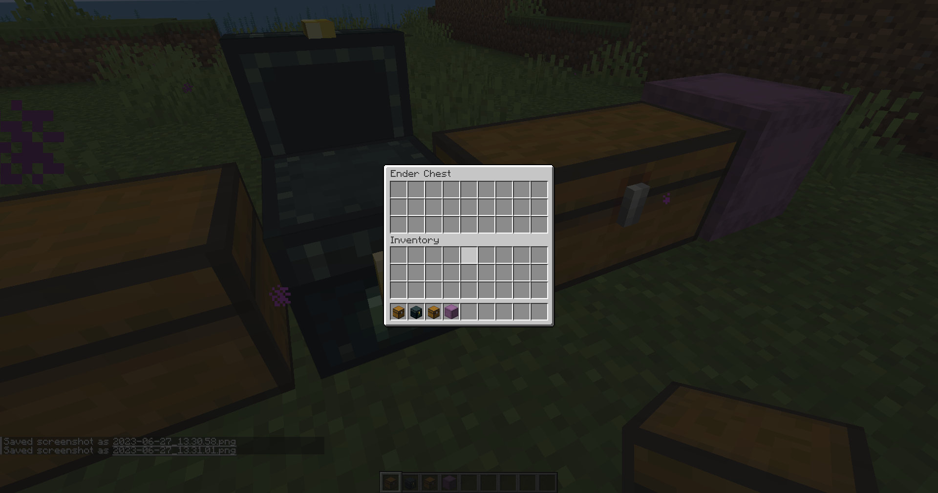 EBE v0.9 on MC 1.20.1 breaks with sodium, model dosen't work correctly while chest, trapped ...