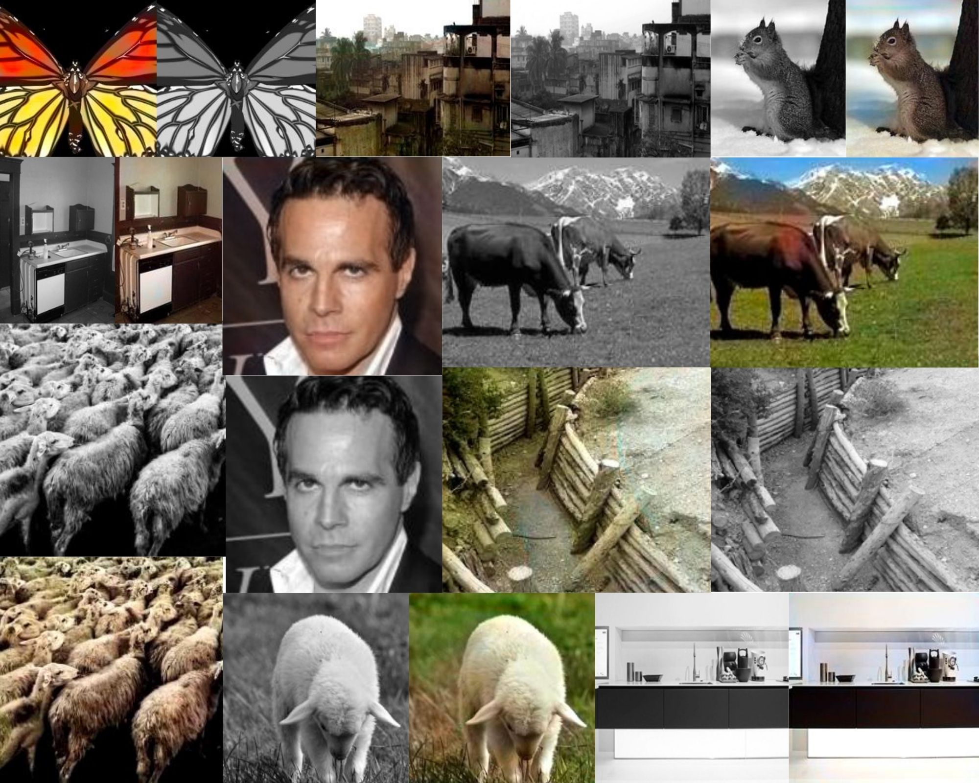 GitHub - ZiliottoFilippoDev/Personal-Projects: Personal projects on various topics