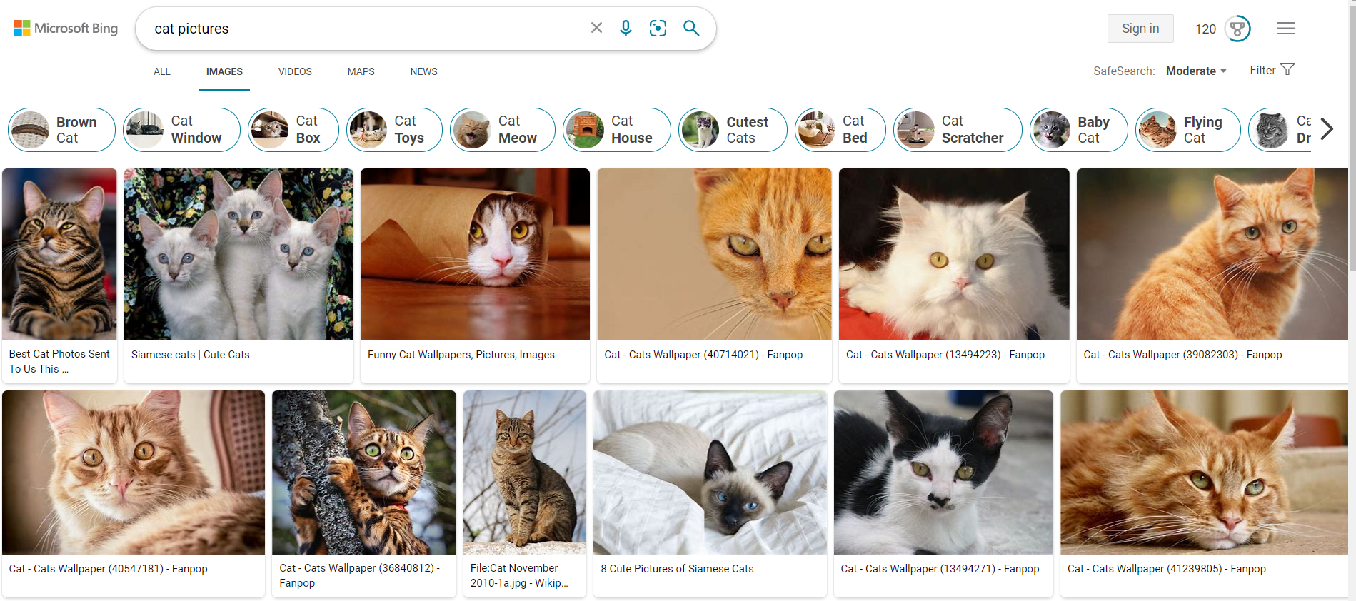 [New Bing API] Add Support for Bing Images Tab · Issue #373 · serpapi ...
