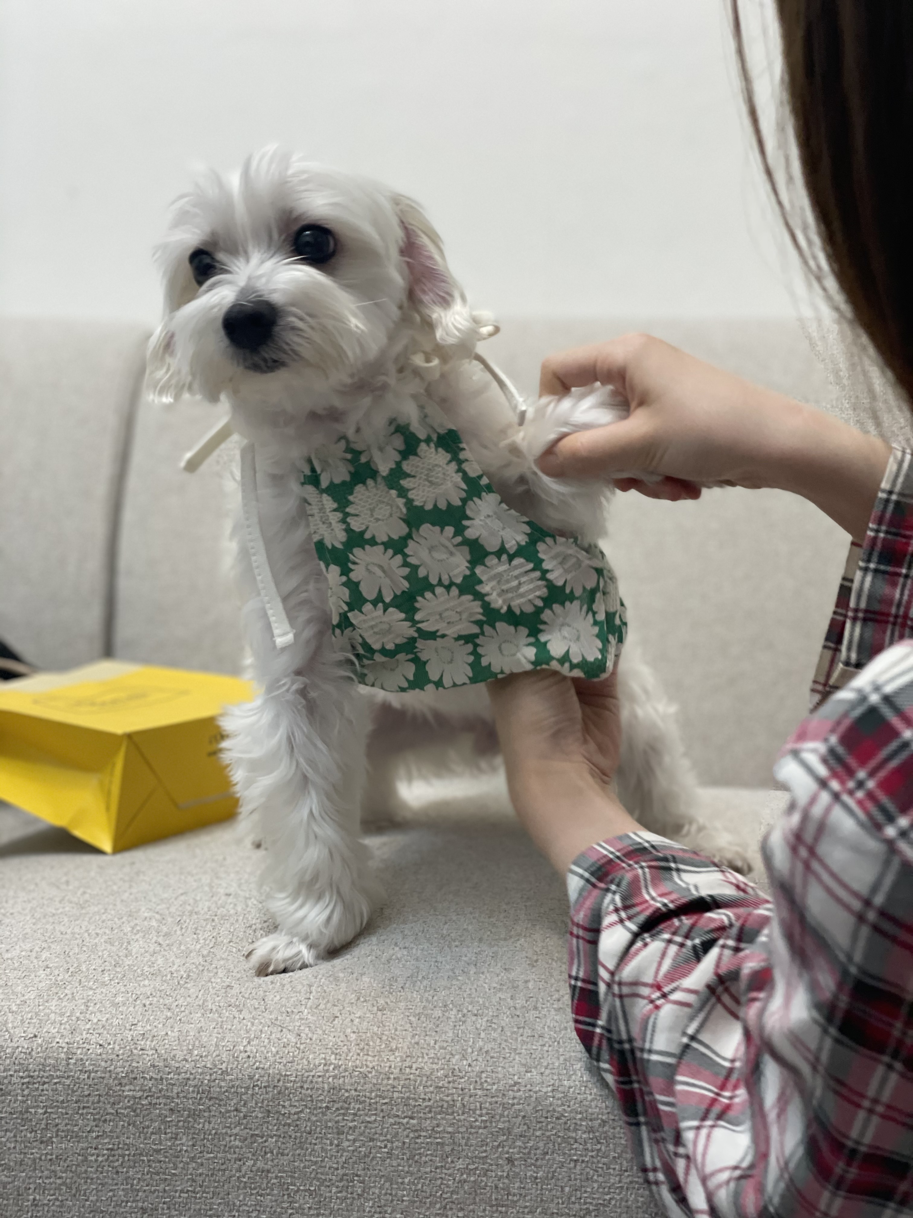 GitHub - kimzia0619/zia