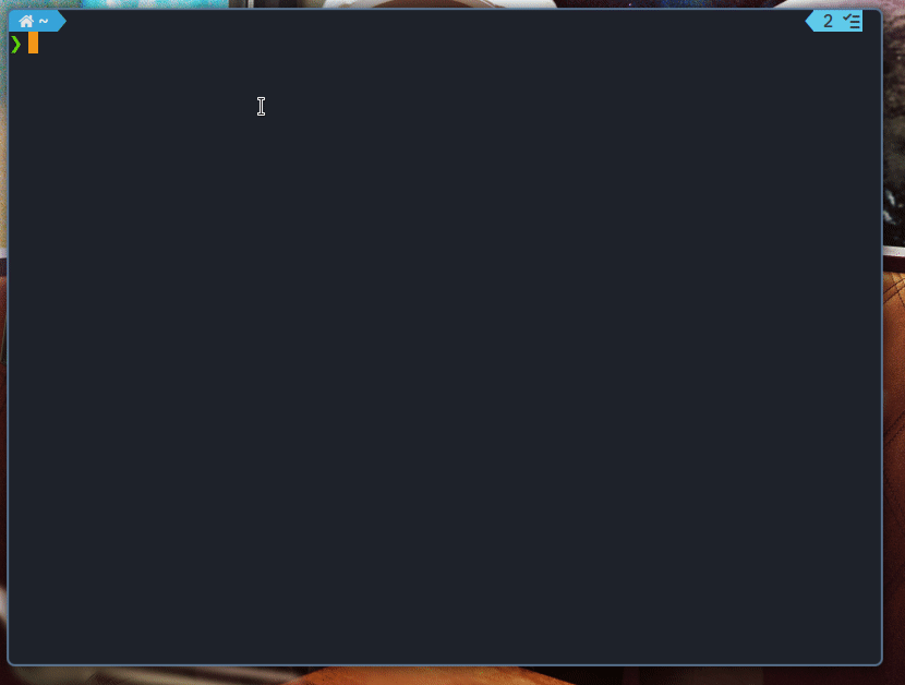 indentation in python not working · Issue #1591 · NvChad/NvChad · GitHub