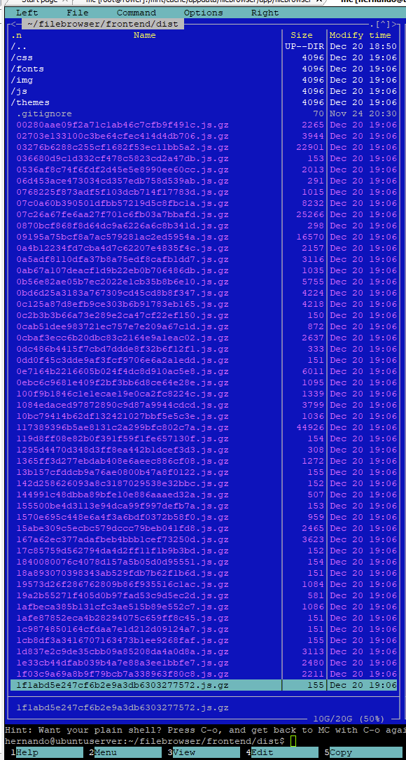 Help Compiling Original Guide Doesnt Work · Filebrowser Filebrowser
