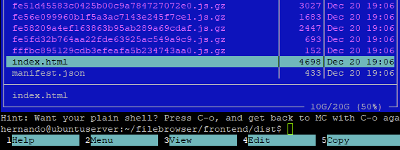 Help Compiling Original Guide Doesnt Work · Filebrowser Filebrowser · Discussion 1728 · Github