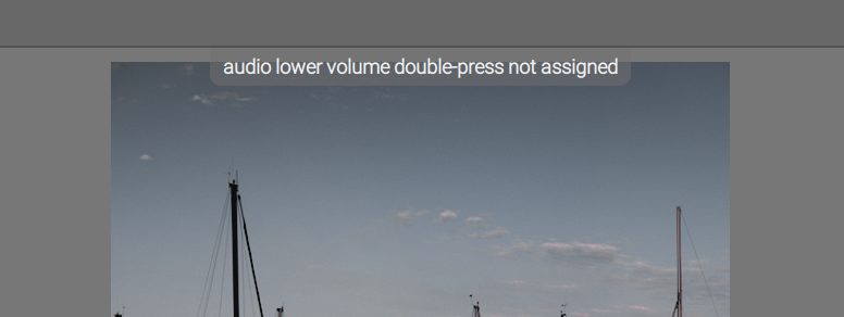 Ansel captures unassigned keyboard shortcuts, but complaints about them being unassigned · Issue ...