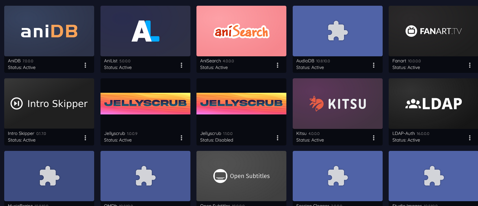 [Issue]: Reincarnating Plugin · Issue #9741 · jellyfin/jellyfin · GitHub