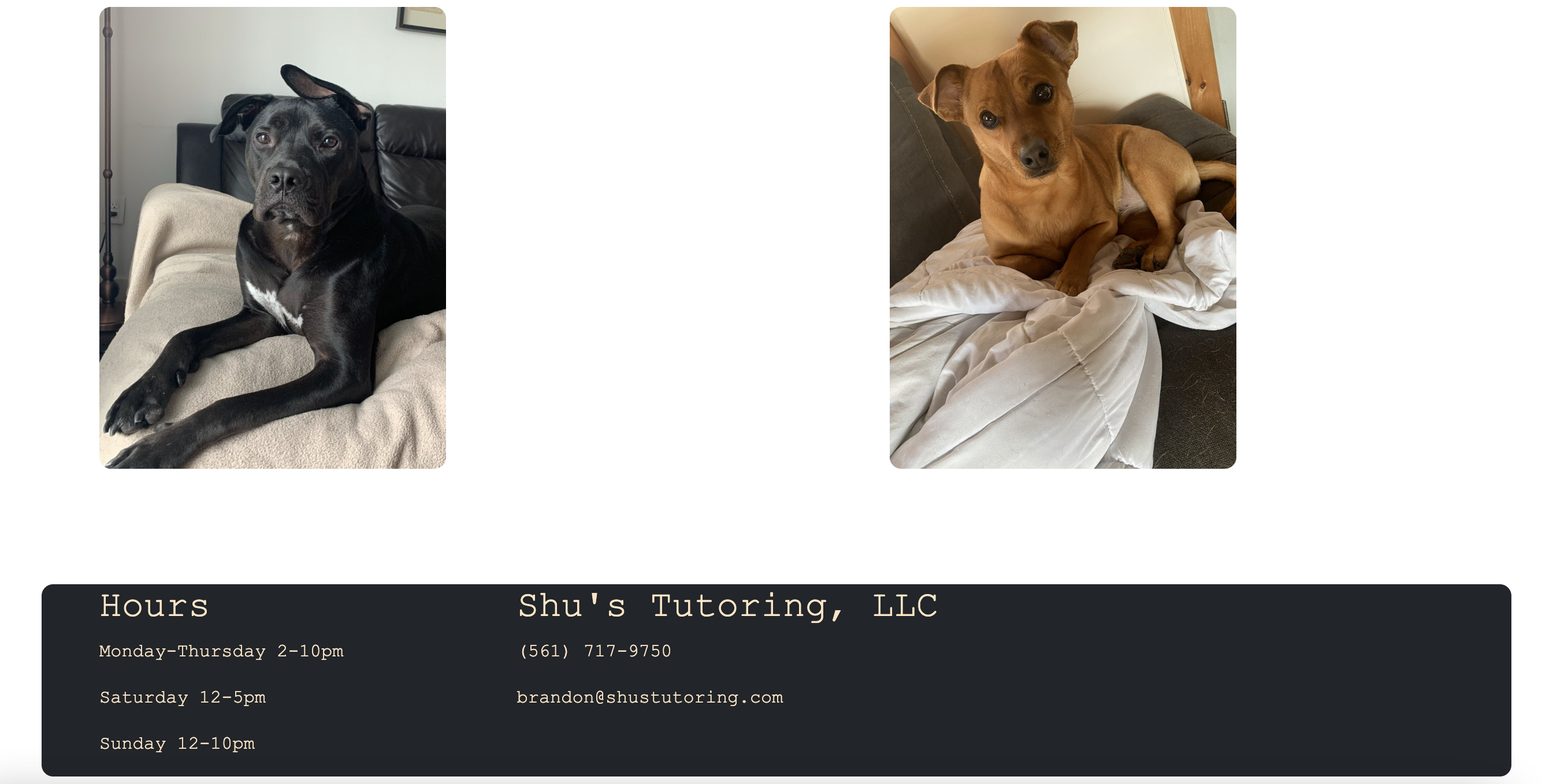 GitHub - bschu20/Shus-Tutoring-Website