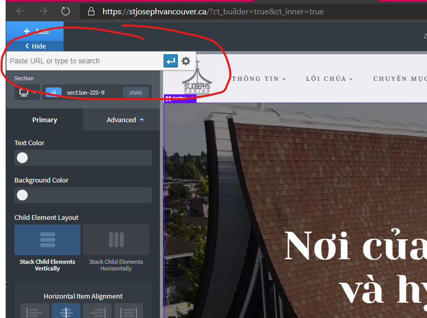 Random URL box show on Oxygen editor & color picker doesn't work (Wordpress 5.6 & Oxygen 3.6.1 ...