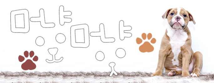 GitHub - saeminakim/animal_backend: 마이크로 서비스 아키텍처 기반 유기동물 분양 웹서비스 멍냥멍냥🐕‍🦺